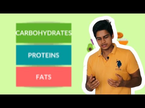 🇮🇳The most HELPFUL video on the internet about FAT loss - YouTube