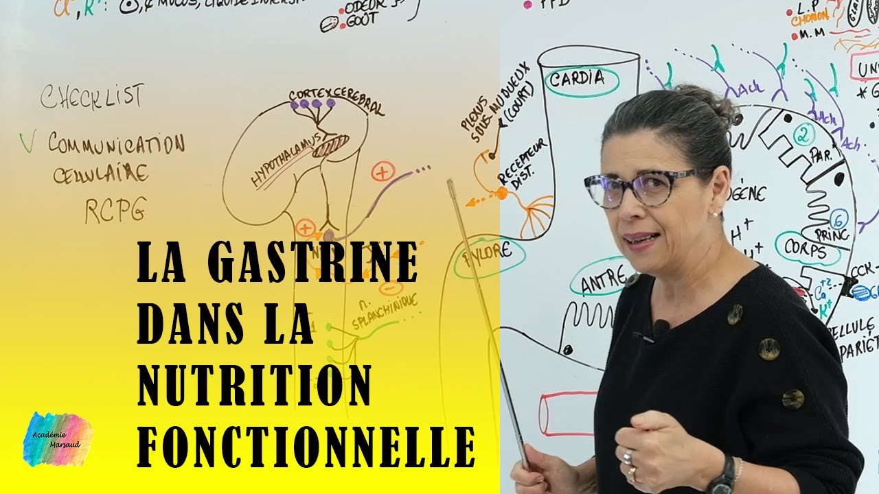 LA GASTRINE ET SECRETION GASTRIQUE DANS LA NUTRITION FONCTIONNELLE ...
