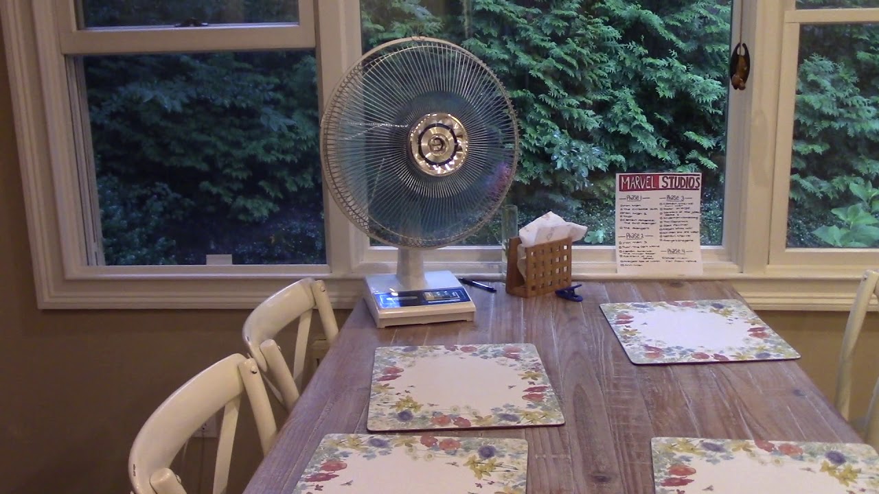 (Way Too Many) Fans Around the House 8-29-19 - YouTube
