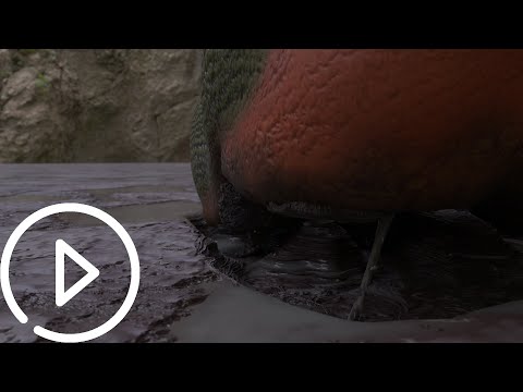 Unfortunate Encounter [allosaurus paws stomp pov] (Warning fictional gore content)