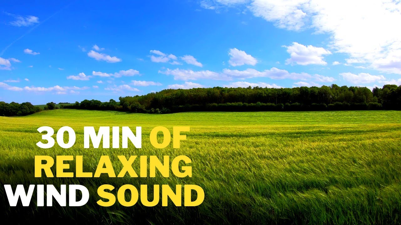 30 MIN OF Relaxing Wind Sounds for Sleeping or Stress Relief - YouTube