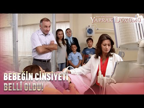 Fikret'in Oğlu Oluyor! - Yaprak Dökümü Özel Bölüm
