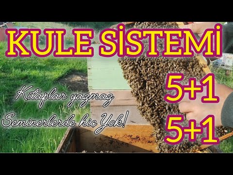 KAT ATMA KULE SİSTEMİ 5+1/5+1/ARIYA KAT VERME