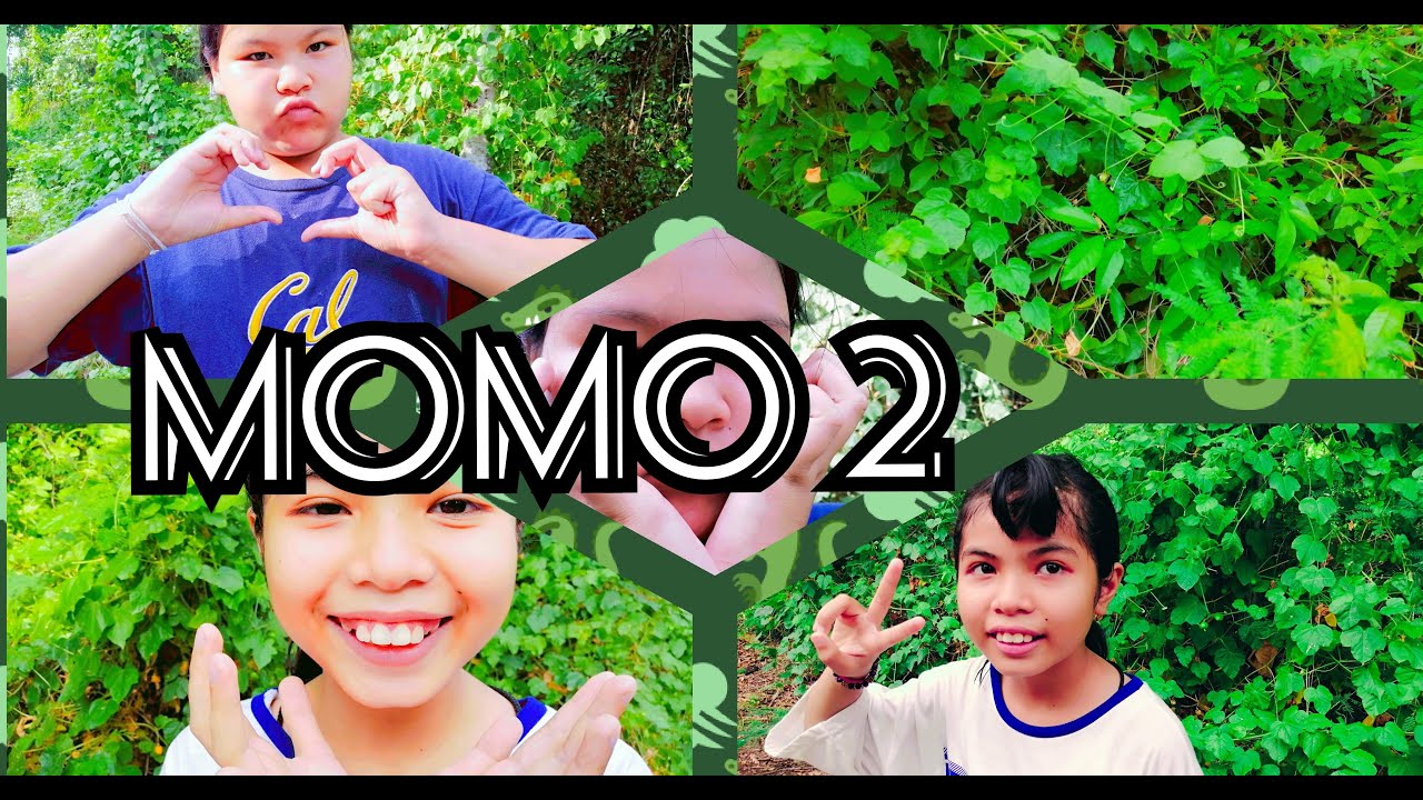 momo2 🐍ep 2 🐍🐛🌳🌲 เข้าป่า หลงป่า - YouTube