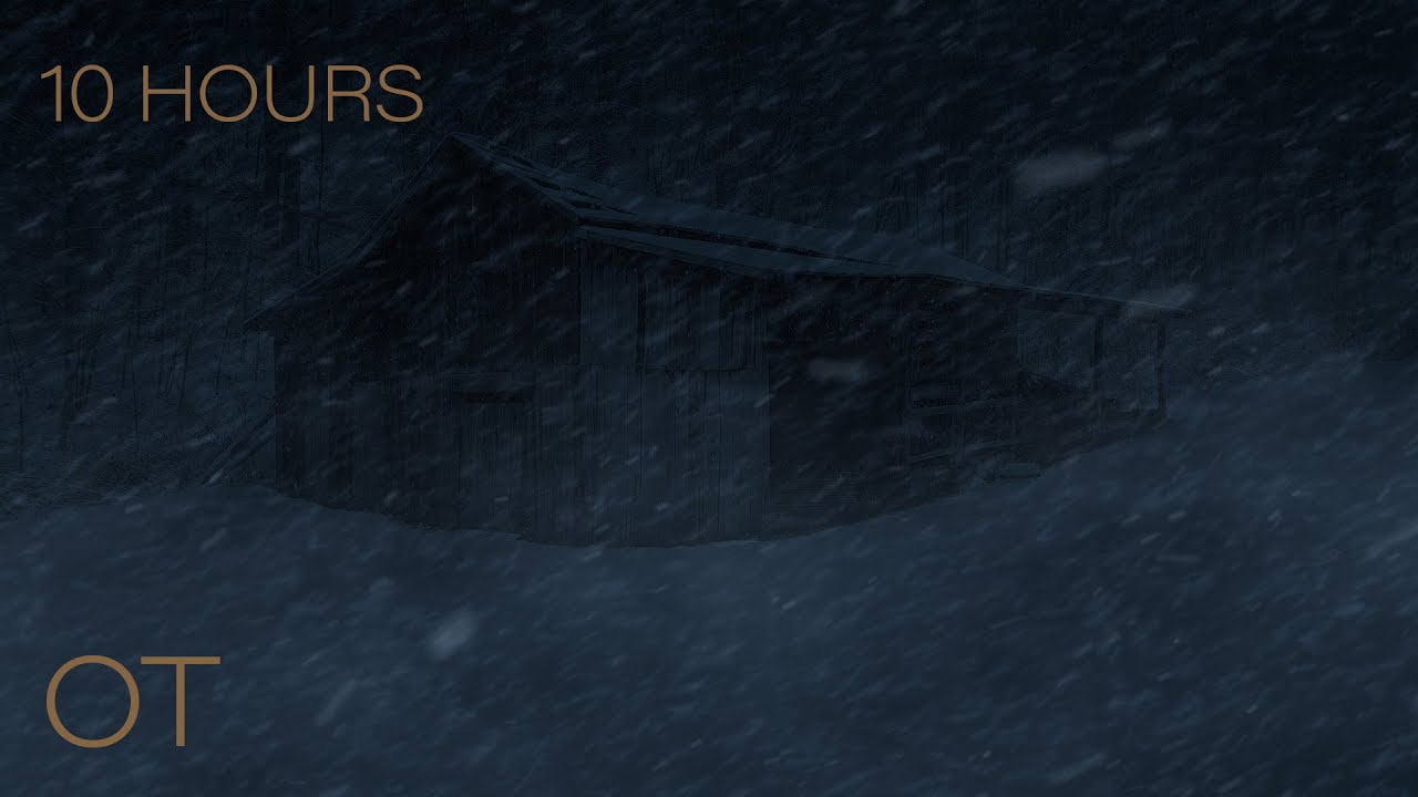 WHITE OUT BLIZZARD in ZIONVILLE North Carolina | Winter Winds & Heavy ...