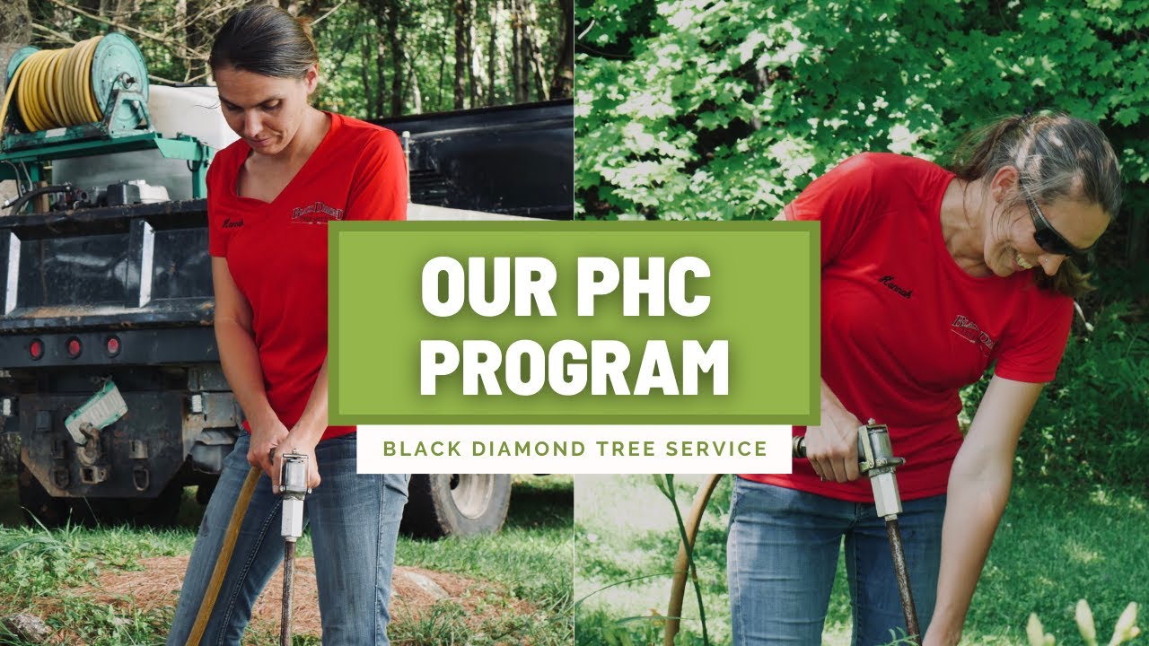 Our Plant Health Care (PHC) Program - YouTube