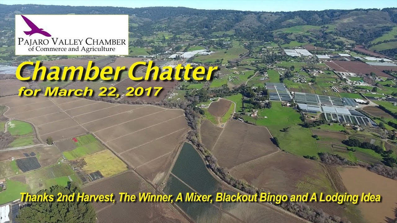 Chamber Chatter for March 22, 2017 - YouTube