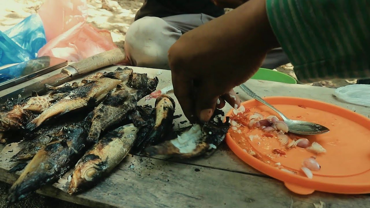 mancing dan mukbang di pinggir laut || ikan kerapu dan ketambak - YouTube