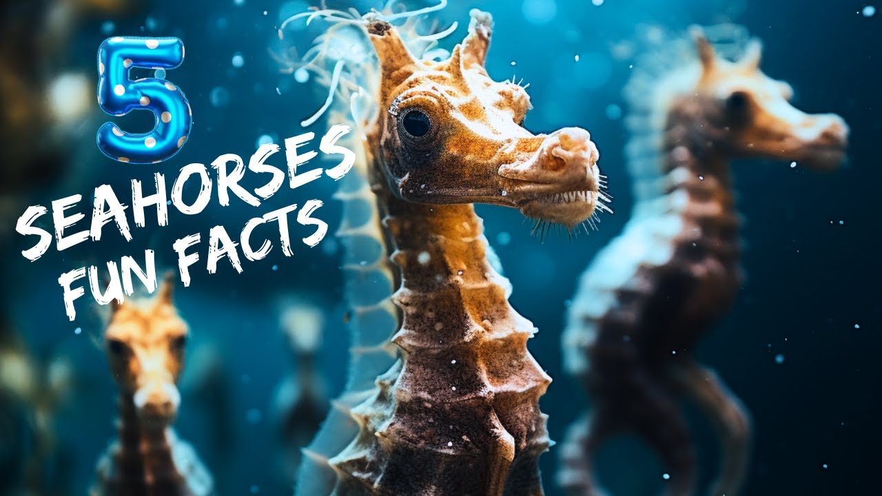 TOP 5 Mind Blowing Seahorse Fun Facts Revealed Behind Their Secrets top-5-mind-blowing-seahorse-fun-facts-revealed-behind-their-secrets