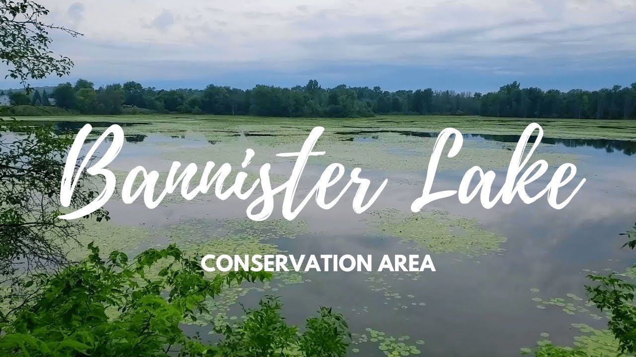 Hiking Ontario: Bannister Lake Conservation Area - YouTube