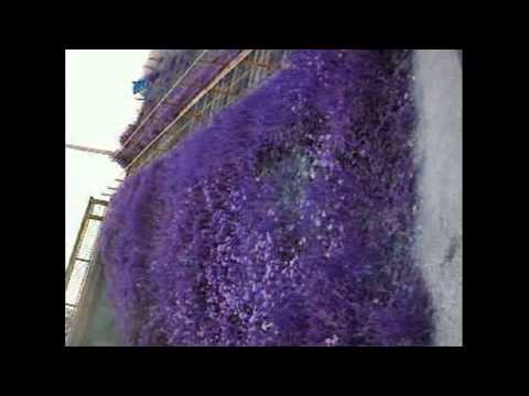 Il est temps de se défenestrer - YouTube