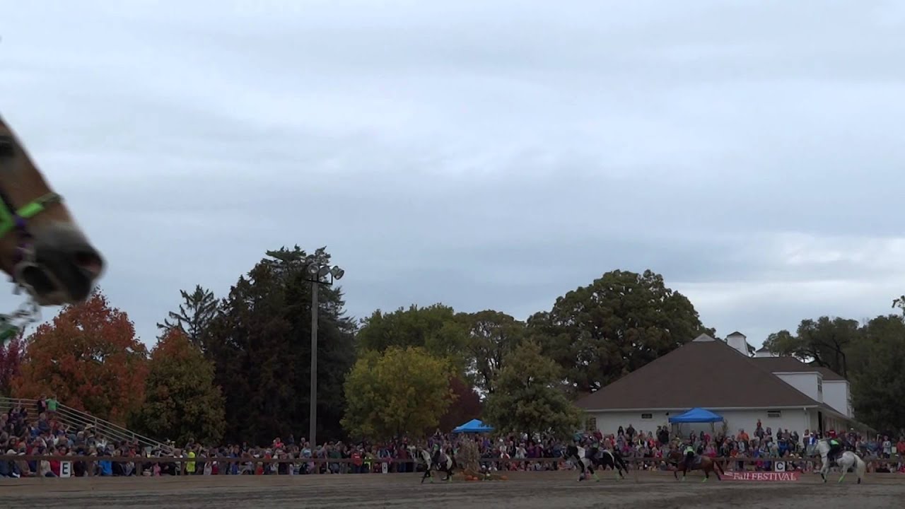 Daredevil Trick Riding-Midwest Renegades ,Danada Fall Festival,2014 ...