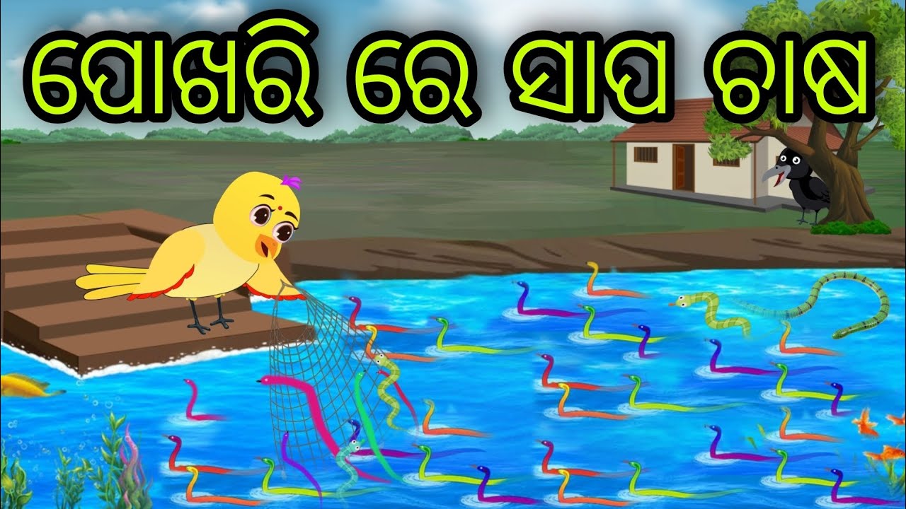 ପୋଖରି ରେ ସାପ ଚାଷ | Pokhari Re Sapa Chasa | Tiki Chadhei Gapa | Odia ...