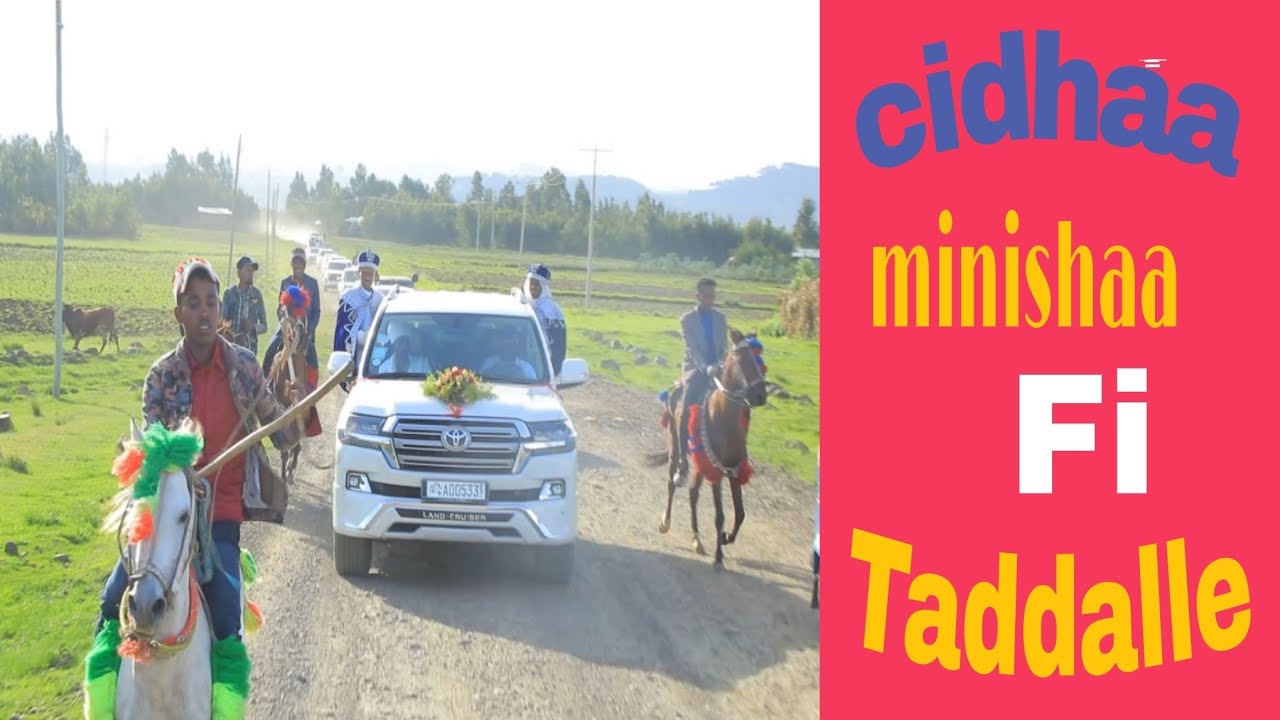 cidhaa minishaa fi Taddalle - YouTube