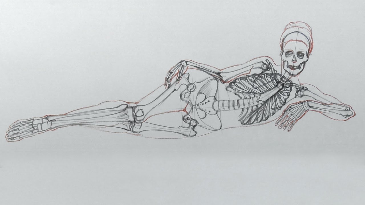 Anatomy of the Body - Anatomy Master Class - YouTube