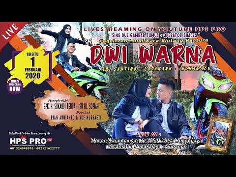 DWI WARNA FULL | SIANG | 01-02-2020 - YouTube