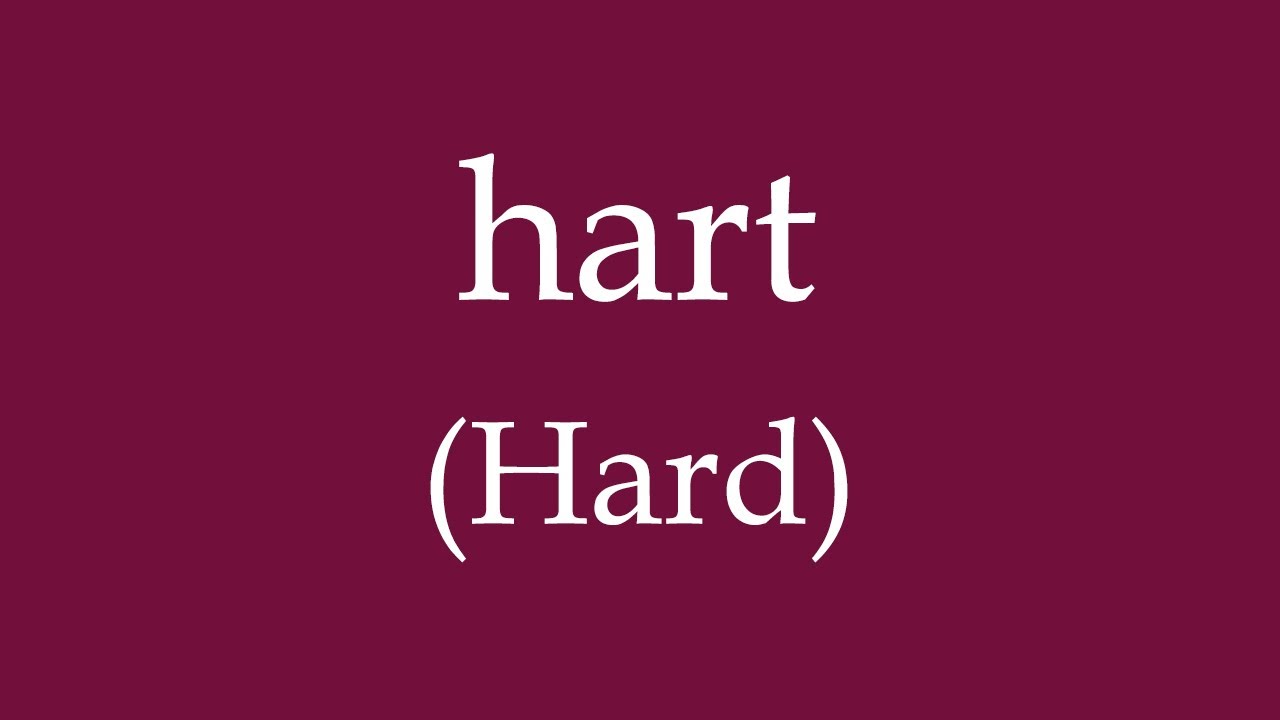 How To Say 'Hard' (hart) in German - YouTube