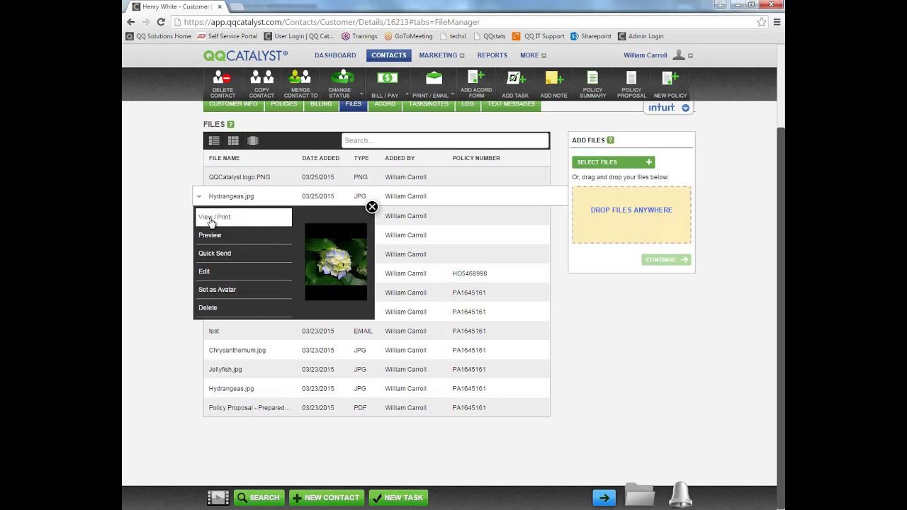 QQCatalyst - How To Use File Tagging - YouTube