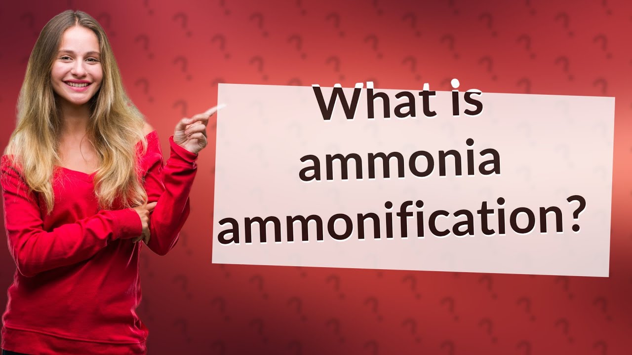 What is ammonia ammonification? - YouTube