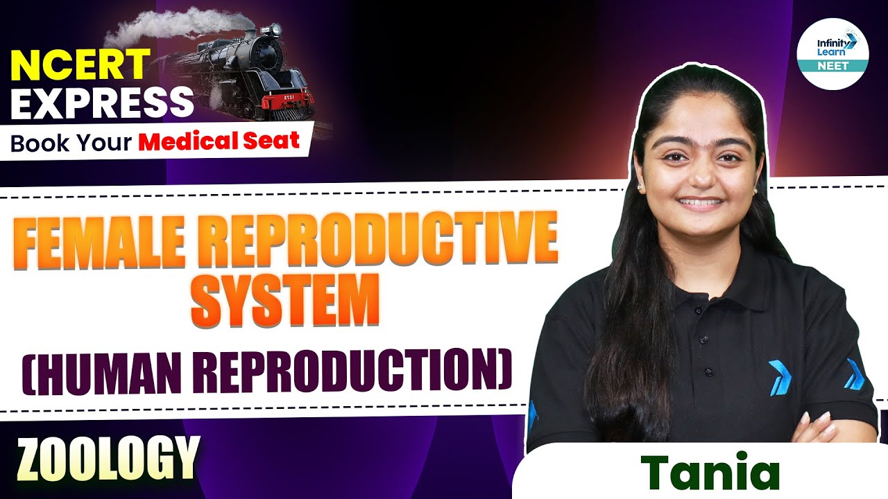 Female Reproductive System Basics: Human Reproduction | NEET 2025 📚 ...