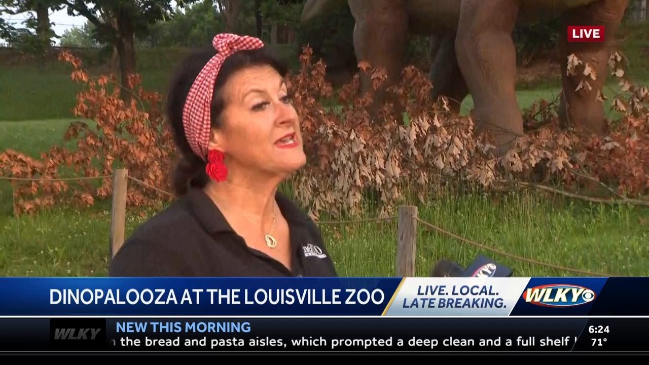 Triceratops vs T-Rex at the Louisville Zoo for Dinopalooza - YouTube