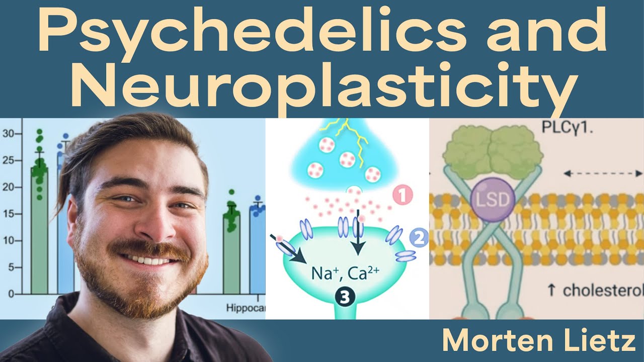 Psychedelics and Neuroplasticity | Morten Lietz - YouTube