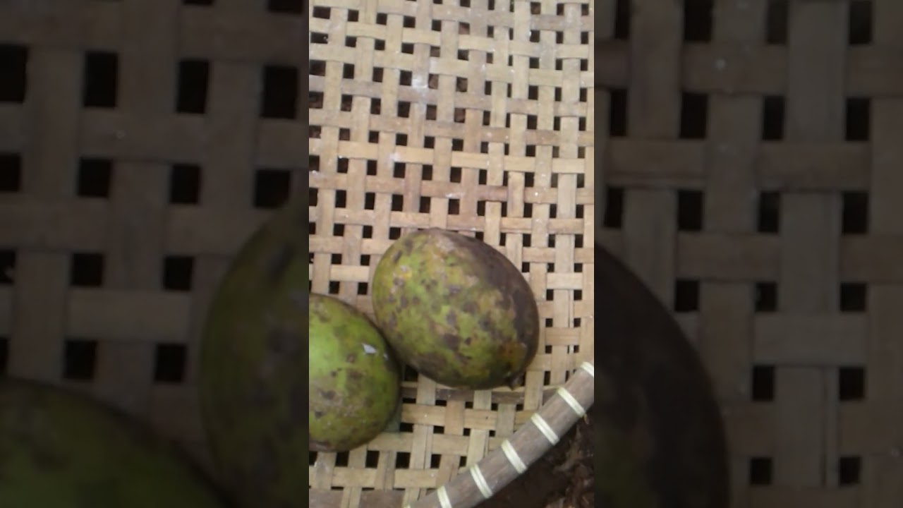 buah bacang/limus - YouTube