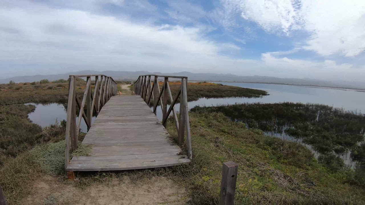 4K Virtual Nature Walk At Bird Sanctuary | Estero Punta Banda - YouTube