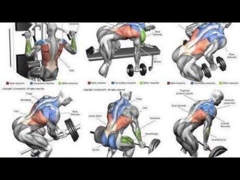 EVDE SPOR fitness Sırt-kanat kas antremanı Bölüm 1 formda kal fit görün kondısyon artır bodybuilding