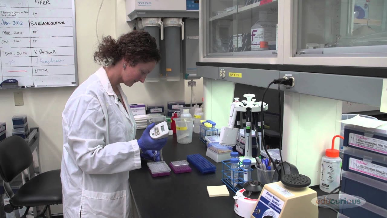 Preview: Kim Parsons on Biodiversity - YouTube