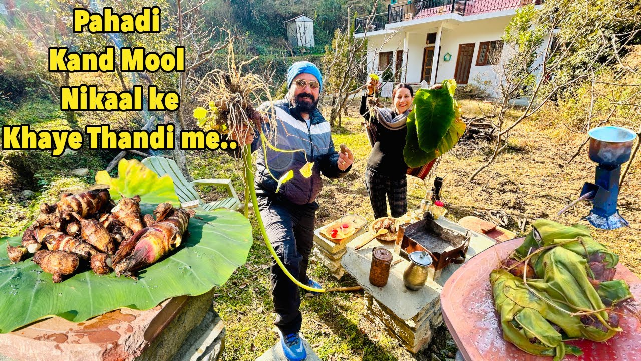 Pahadon ki thandi me khaye कंद मूल.. garam Gaderi ki pahadi sabji ...