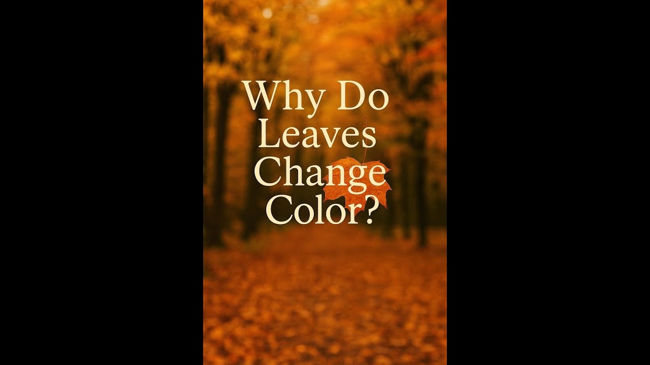 Why Do Leaves Change Color in Autumn? |The Beautiful Science of Seasons ...