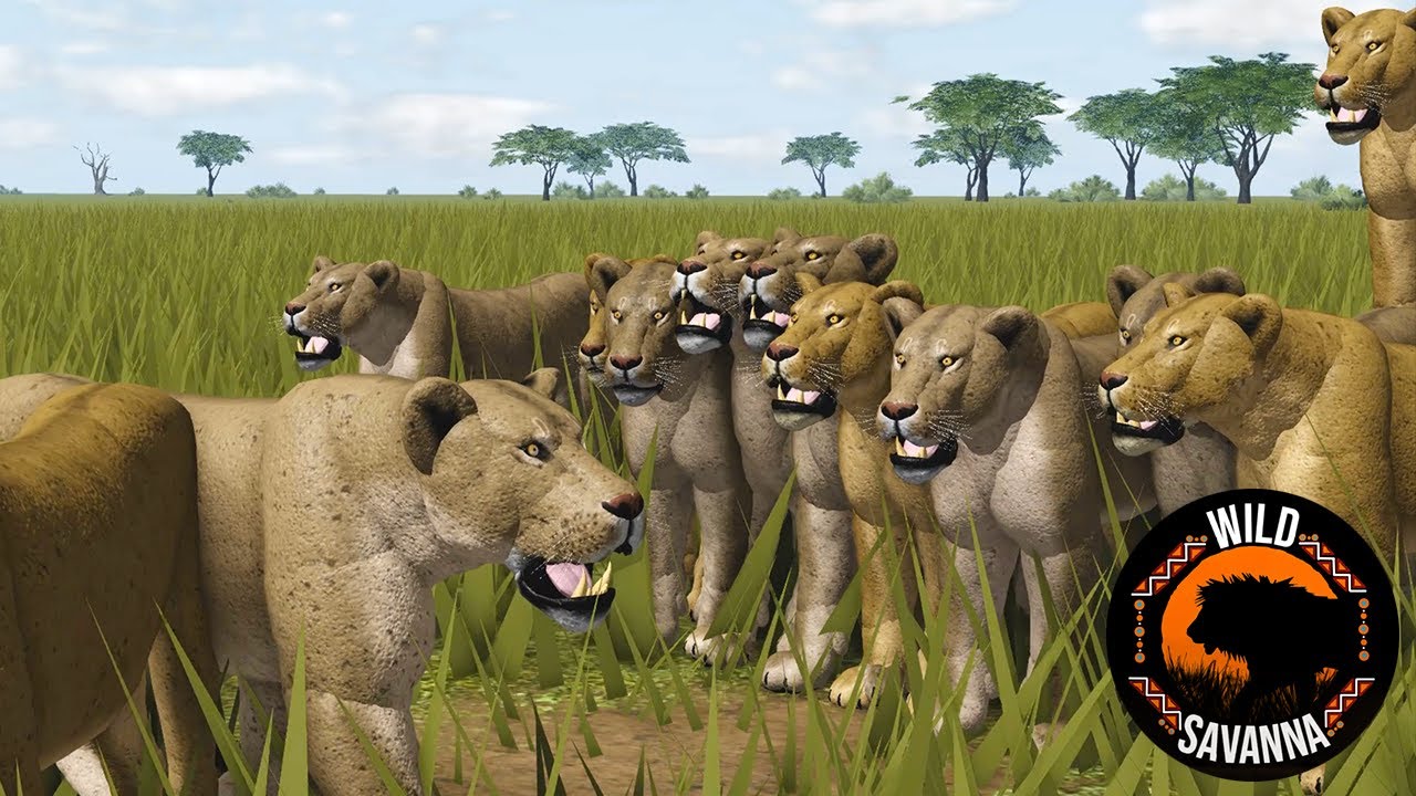 Lioness Takeover | ROBLOX Wild Savannah - YouTube