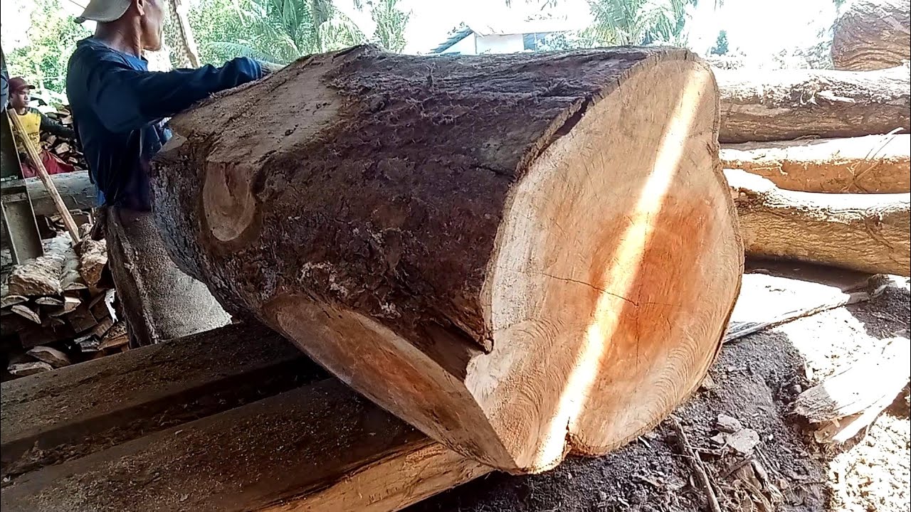 Menggergaji kayu durian yang sudah kering - YouTube