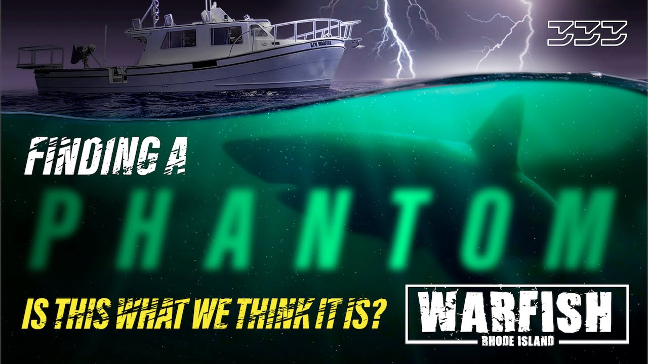 WARFISH 005 - Finding a Phantom | Porbeagle Shark - YouTube