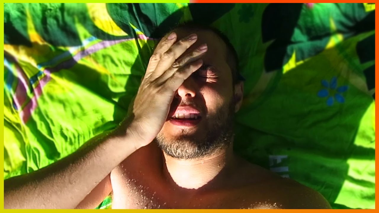 Animales al acecho - YouTube