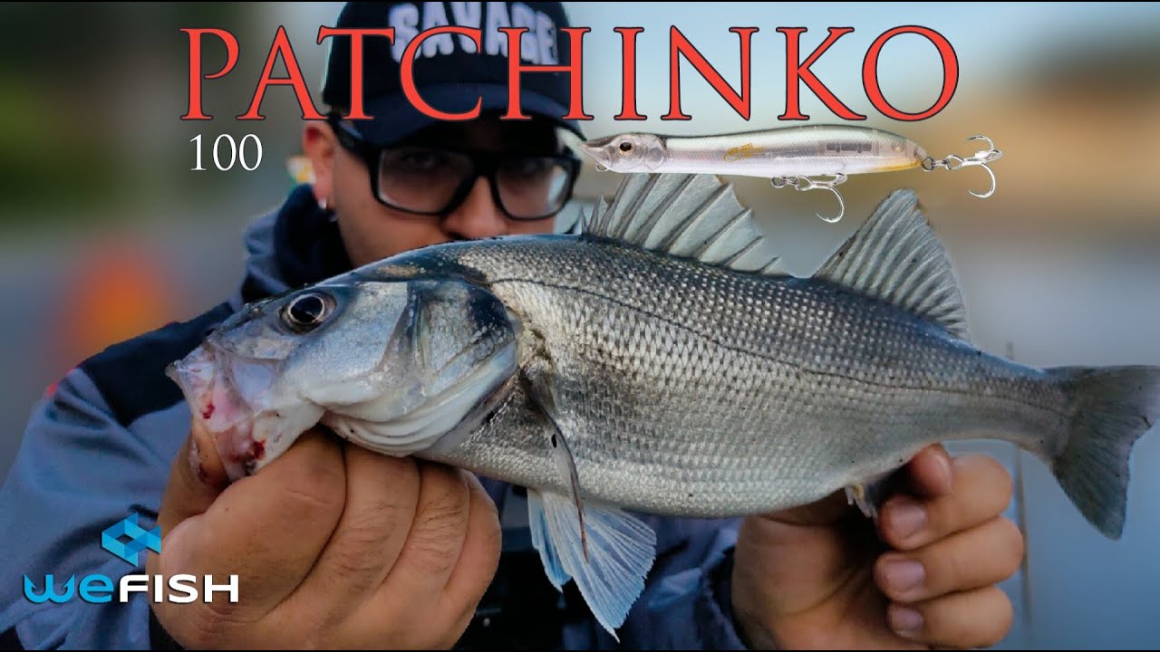 Lubinas con el PATCHINKO 100 / EUSKALBASS #47 - YouTube