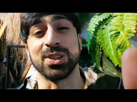 Yanlış anlaşılma😂😂😂 (Elçin Mürsəlov)