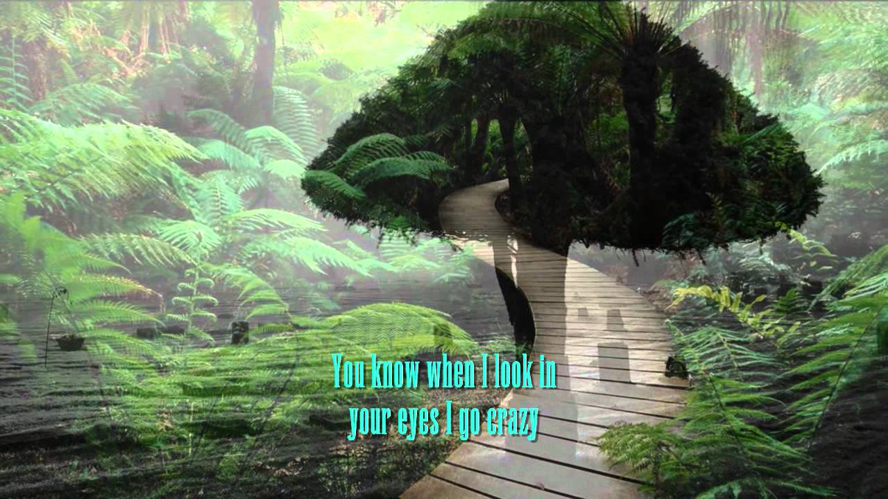 I Go Crazy By PAUL DAVIS - YouTube