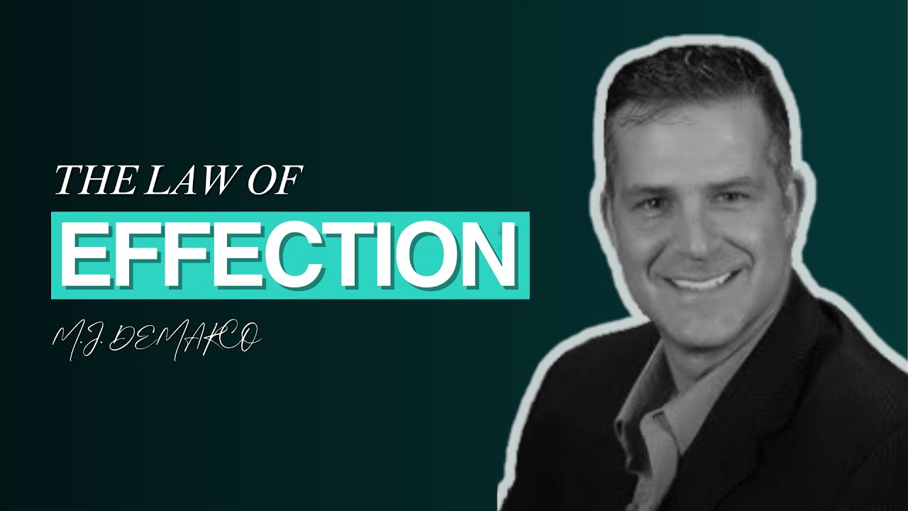 The Millionaire Healthcare Professional's Secret: The Law of Effection ...