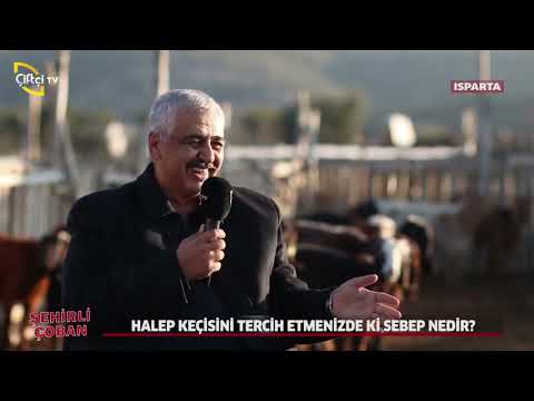 Helal Köy | Damızlık Halep Keçisi | Çiftçi TV