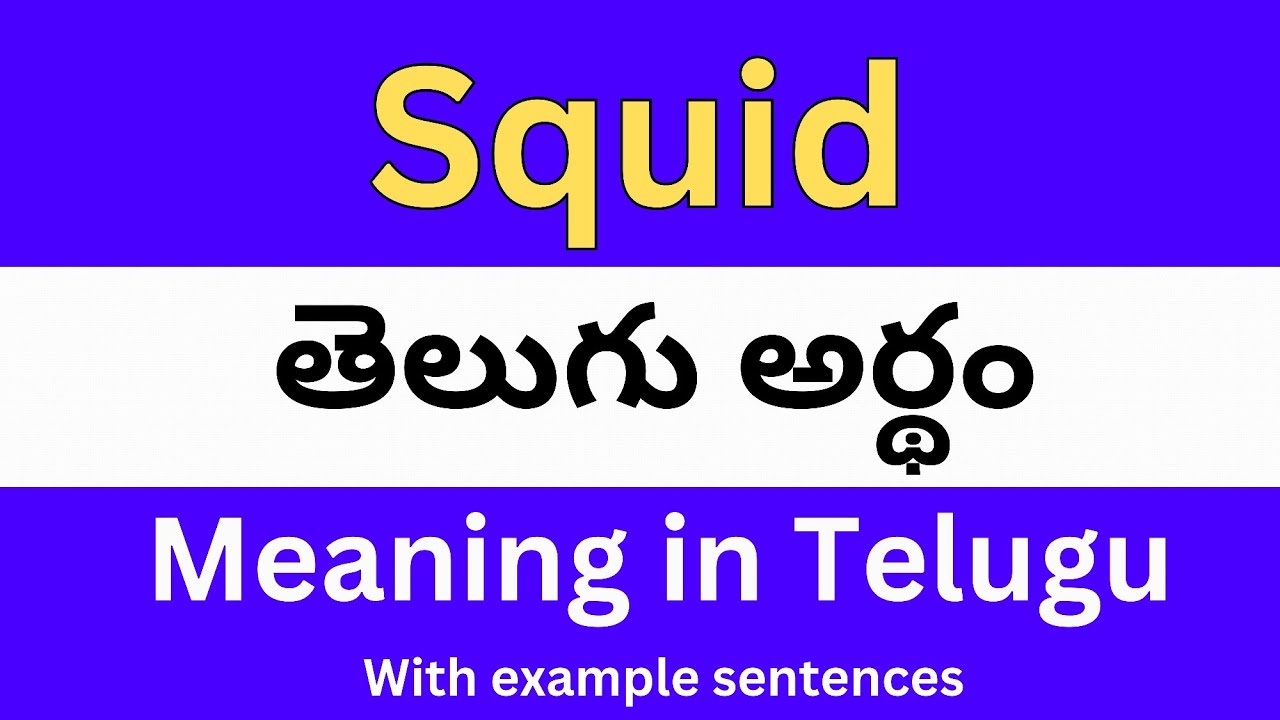 Squid meaning in telugu with examples | Squid తెలుగు లో అర్థం @Meaning ...