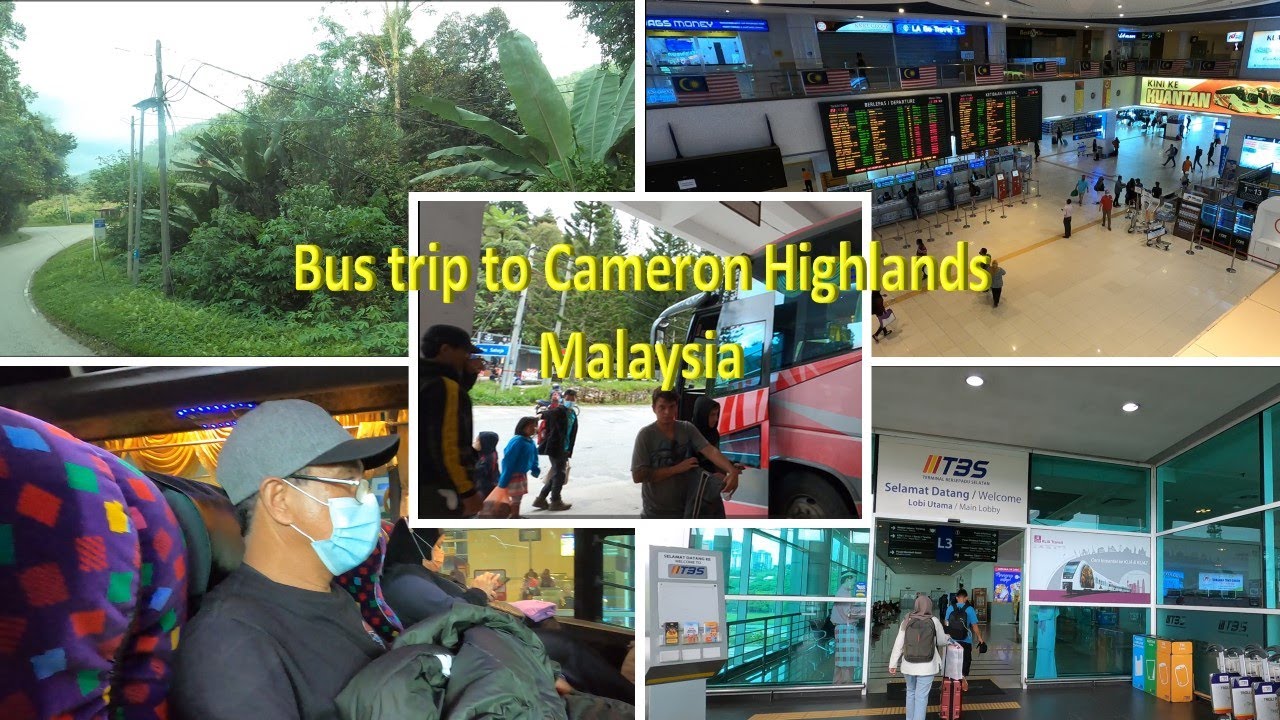 Bus Trip to Cameron Highlands - YouTube