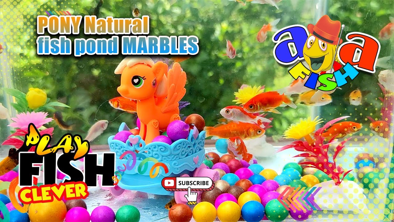 PONY Natural fish pond ,MARBLES,AQUARIUM,CupangMollyguppyNeon ...