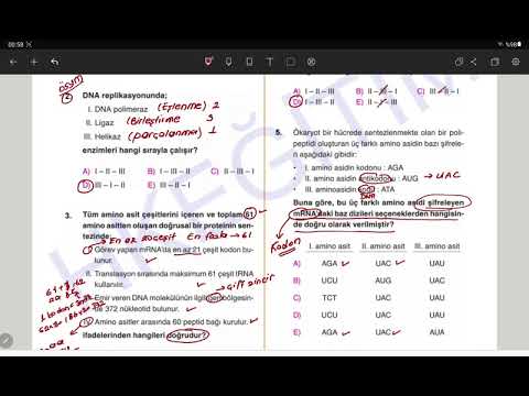 Nükleik Asit Protein Sentezi Soru Çözümü