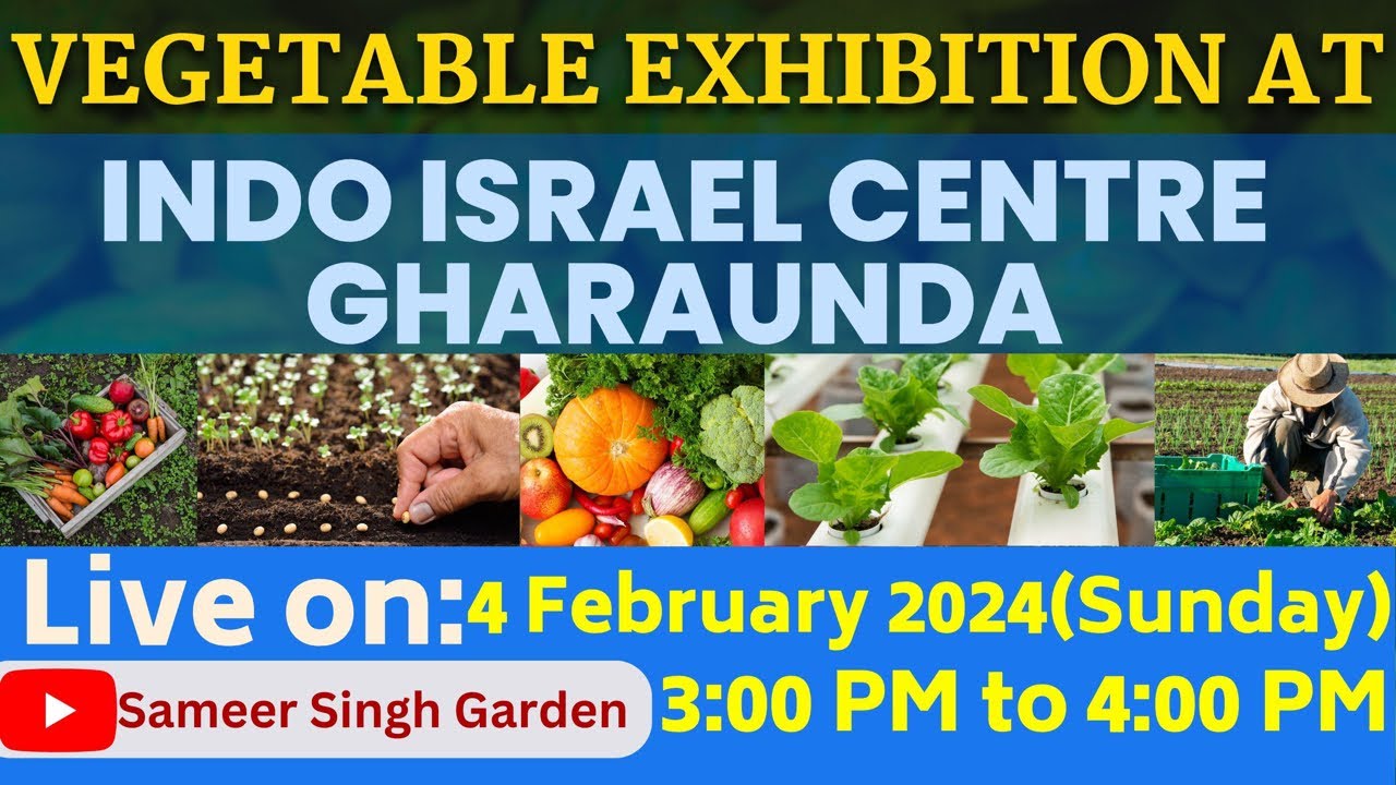 Vegetable Exhibition at Indo Israel Centre Gharaunda Live with Sameer Singh Garden - YouTube