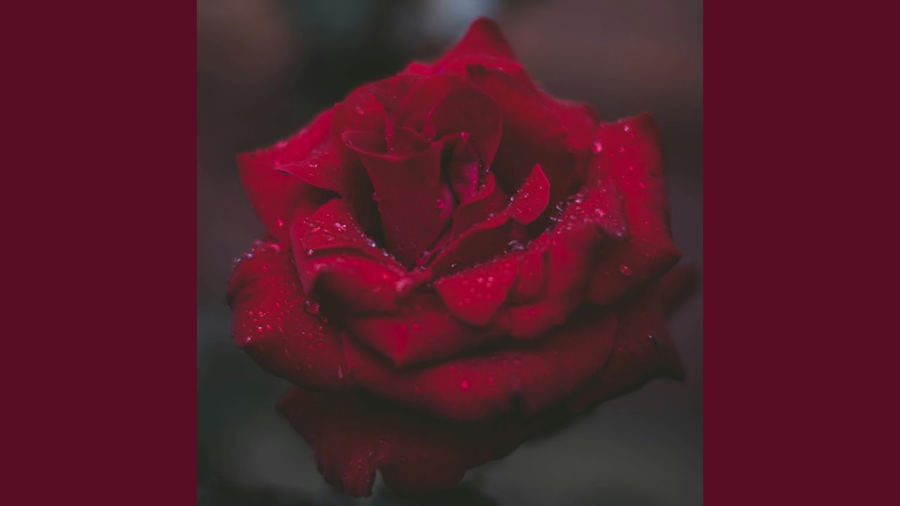 Rozez - YouTube