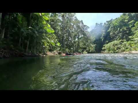 Mossman Gorge Swim, Drift & Snorkel