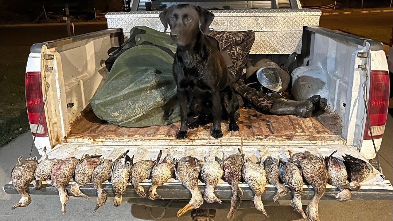 Duck Hunting a Loaded Slough! (3 Man Limit!) - YouTube