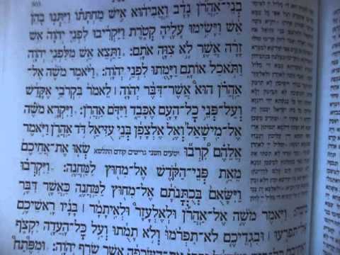 PARASHAT SHMINI; lectura en hebreo y español. - YouTube